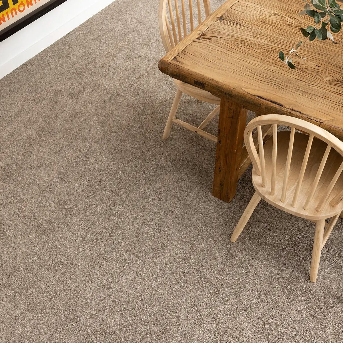 Bentley Plaza Nylon Carpet by Beaulieu | Award Carpets